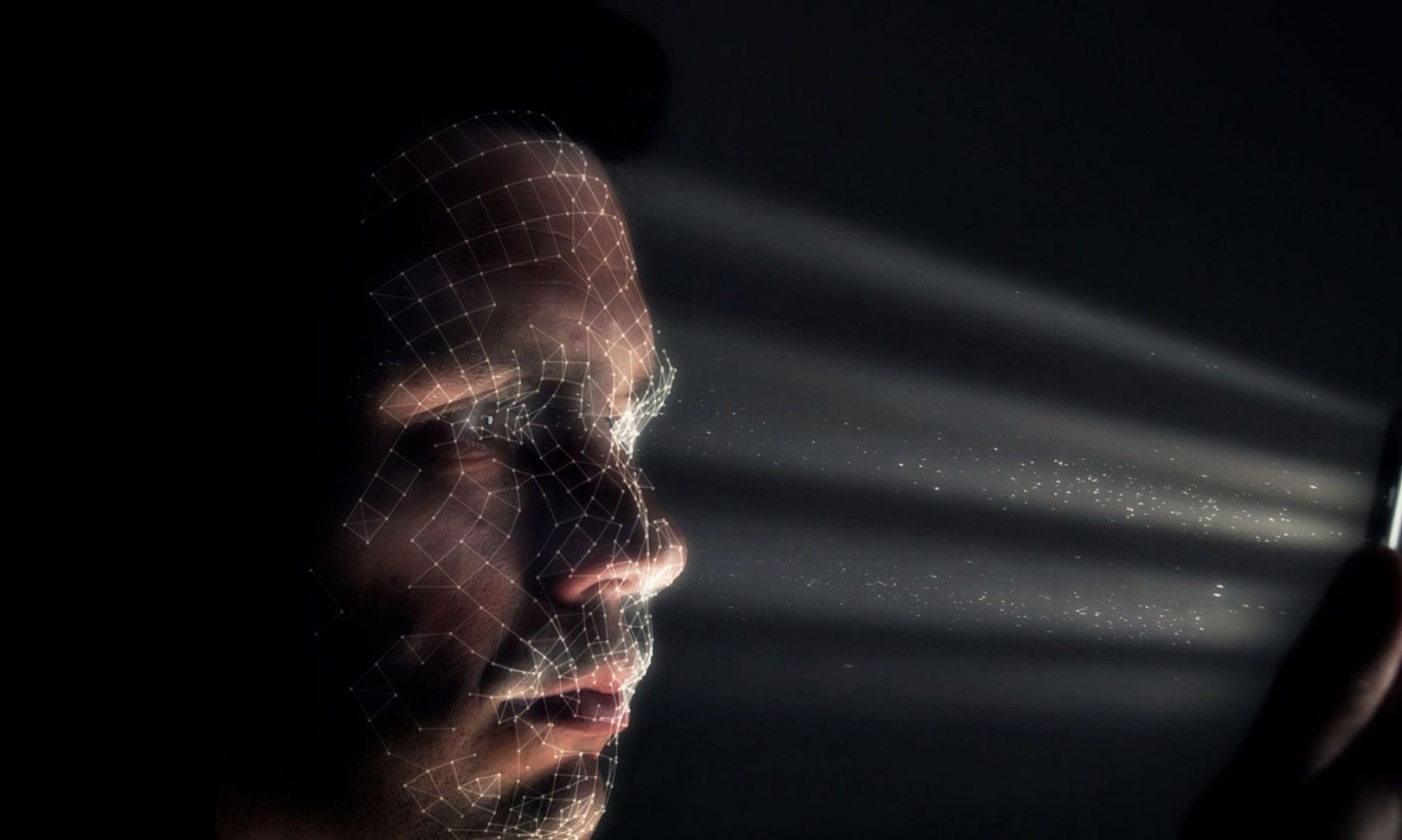 PolyChord calcola le migliori configurazioni per le reti neurali - BitMat