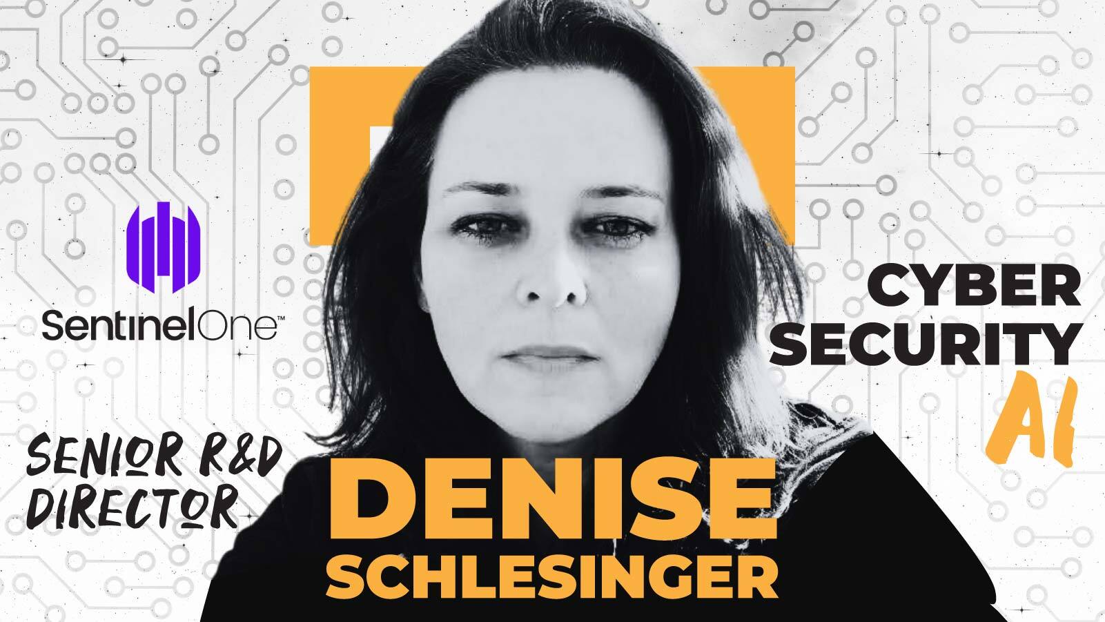 Denise Schlesinger: come formare un Data Team specializzato - BitMat