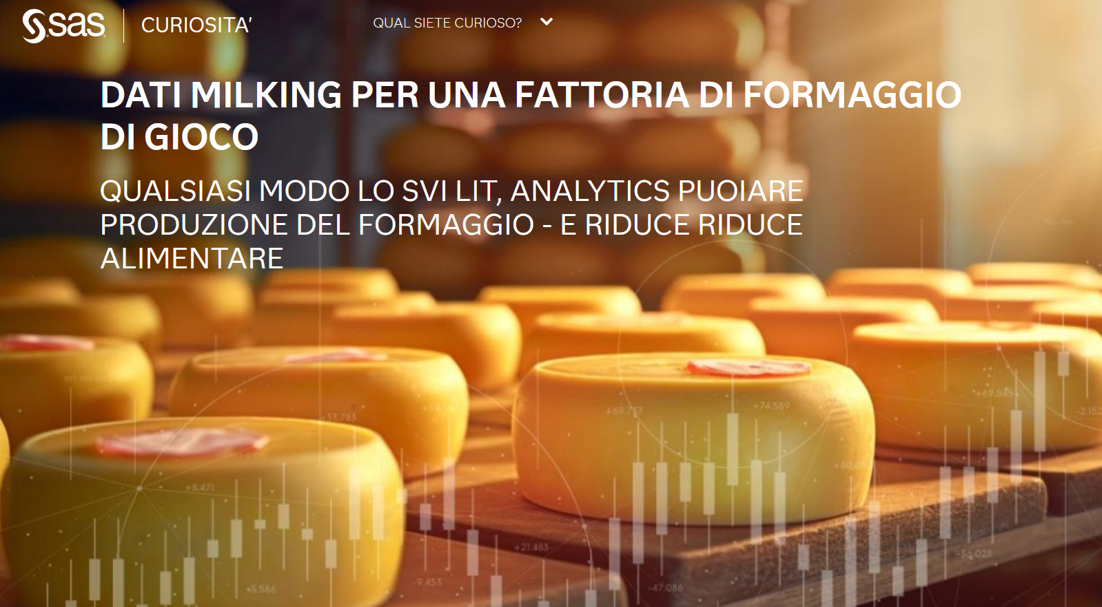 Formaggio: con gli analytics è più buono? - BitMat