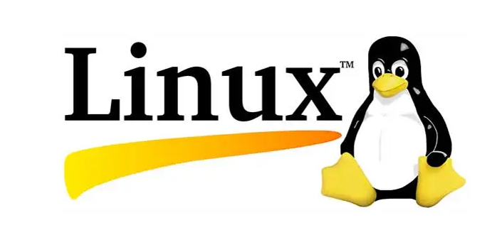 Nuova vulnerabilità critica nel kernel Linux: cosa fare? - BitMat
